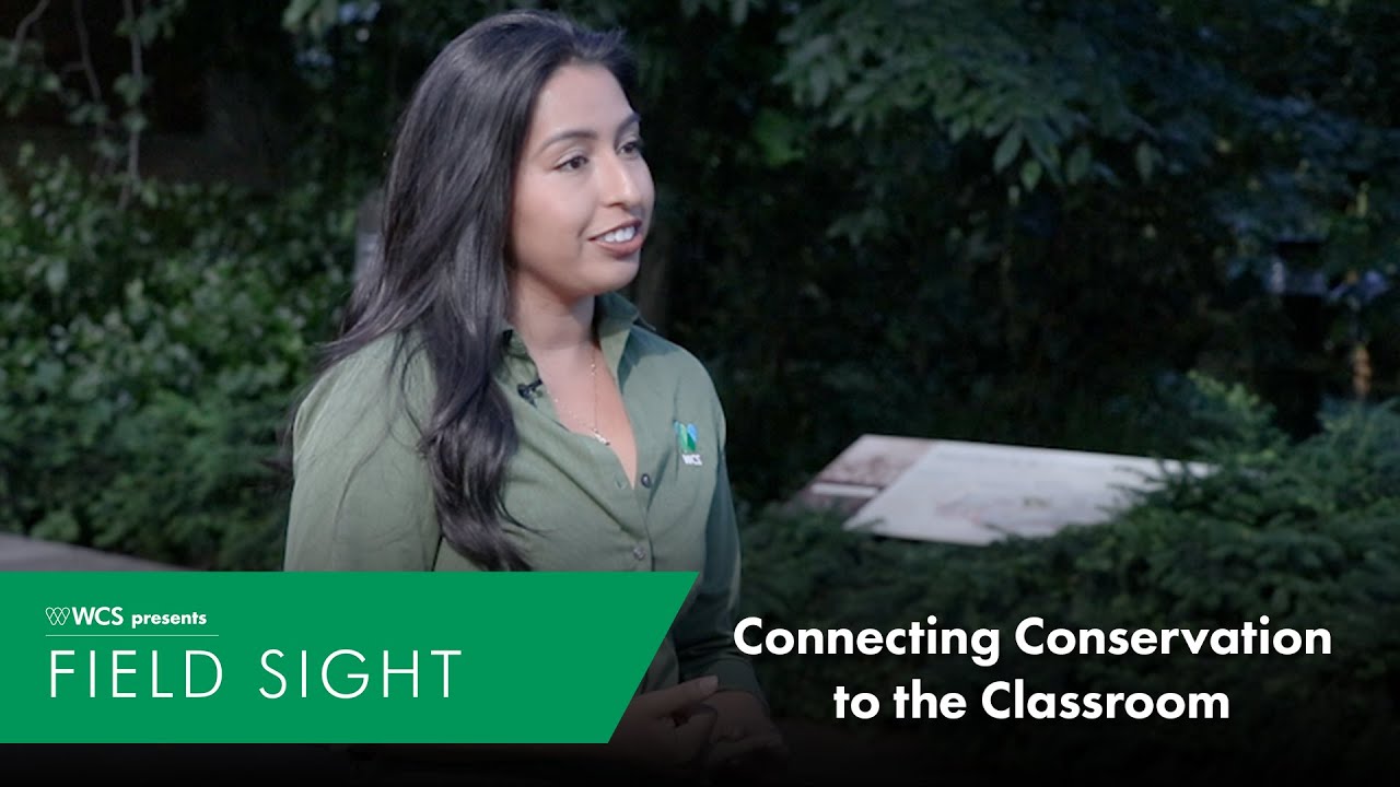 Classroom Connections - YouTube