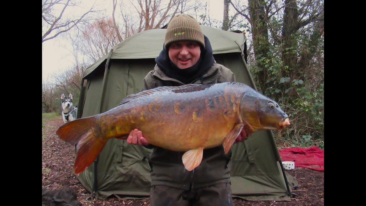 Top Lake January 2025 session Big Mirror Carp #44 - YouTube