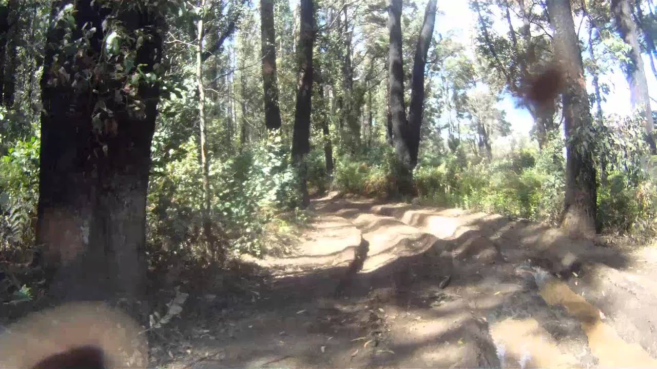 Bunyip State Forest March 2012 - YouTube