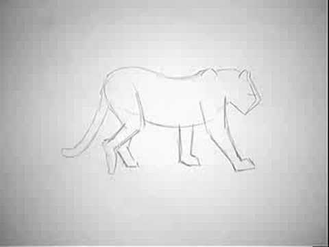 2-d animation tiger animal walk/run cycle - YouTube