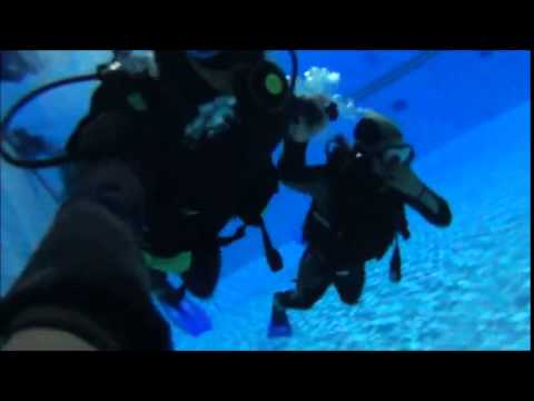 plongée Plongée Maroc - Diving Morocco - YouTube