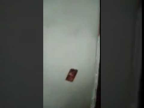 Tovuz r.Əyyublu kənd 1n-li məktəbin 1a sinfinə Şəhid Gizir İlqar Zeynallının adının verilməsi tədbir