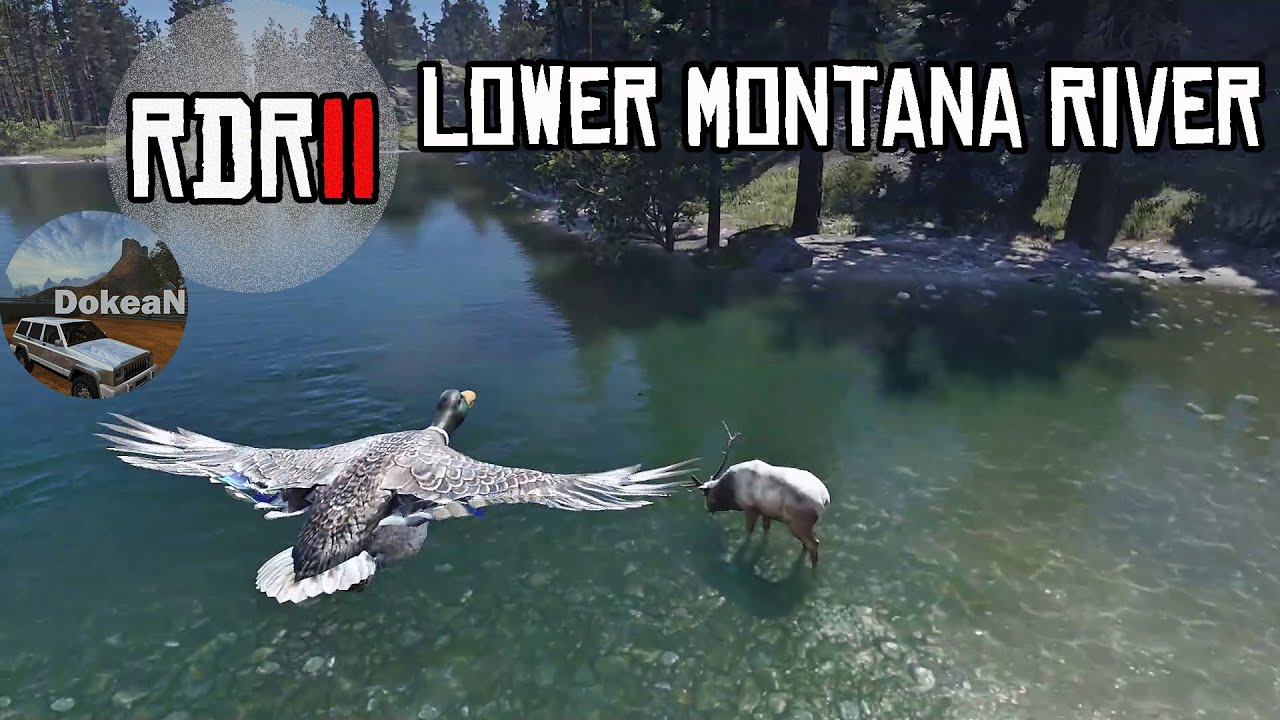 Flying down the Lower Montana River - Red Dead Redemption 2 - YouTube