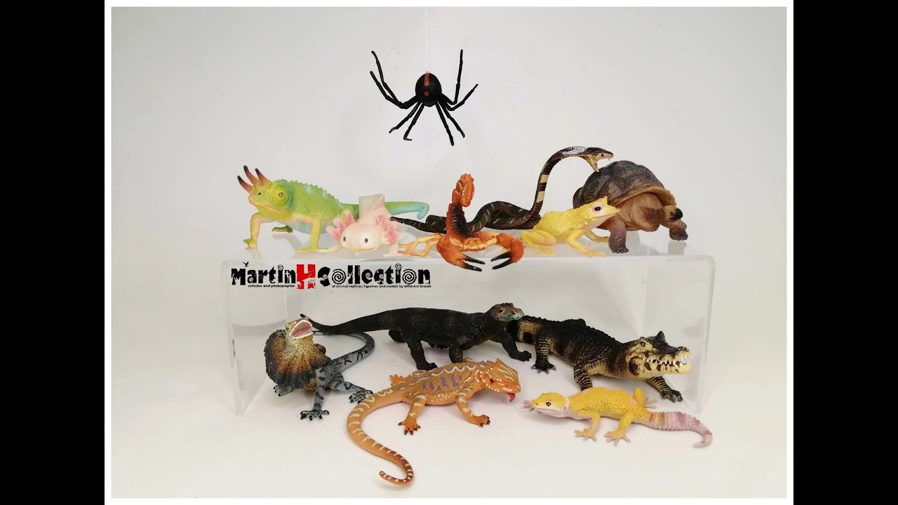 MartinH Collection - Reptile set by Toymany - YouTube