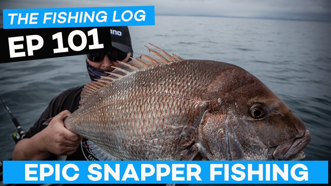 Flog 101 // Epic Snapper fishing - YouTube