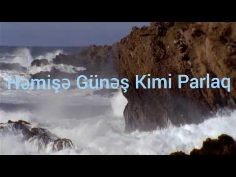 Viləş Elşən ad günü