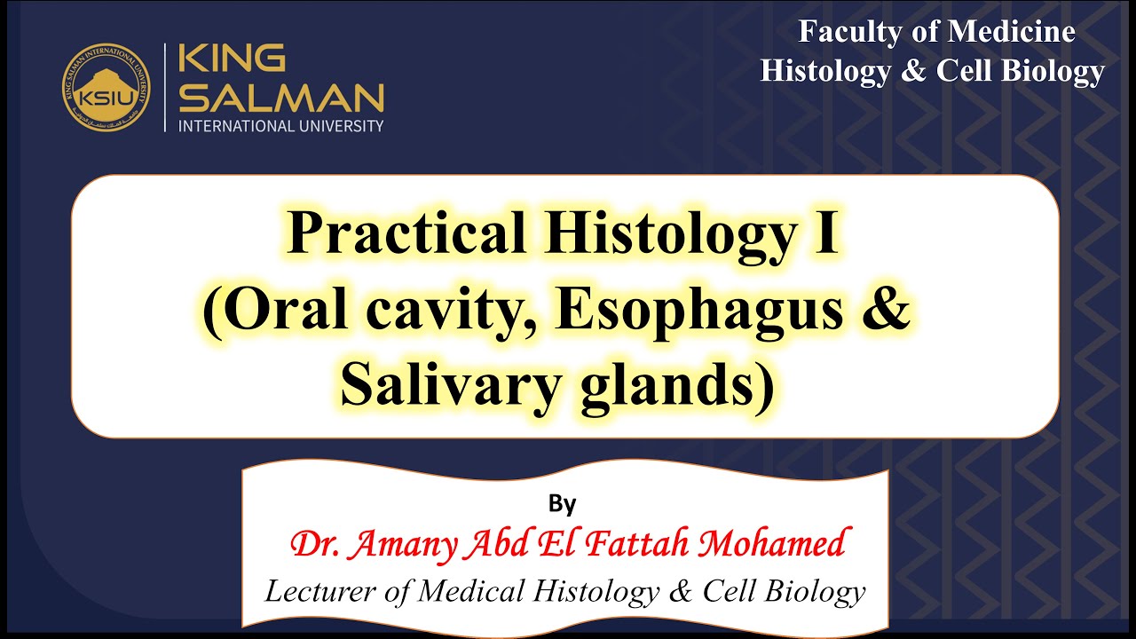 Practical GIT 1 - YouTube