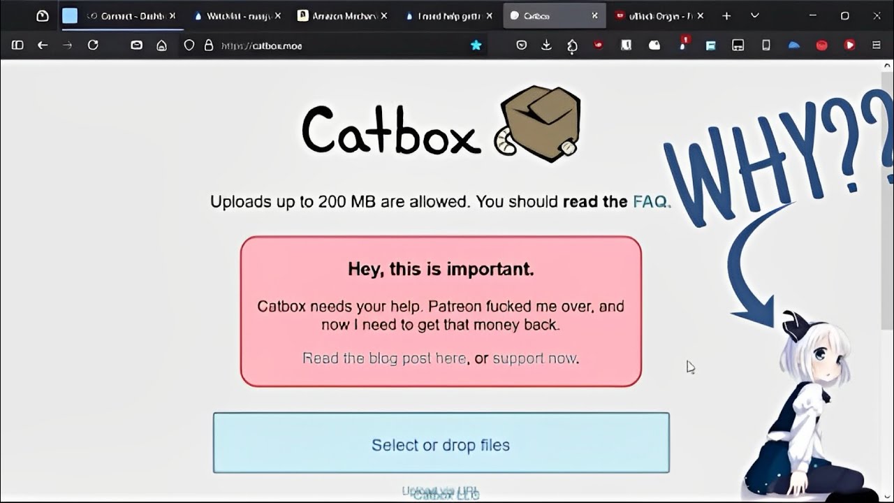 Catbox.moe could be shutting down…. and I realize why while recording ...