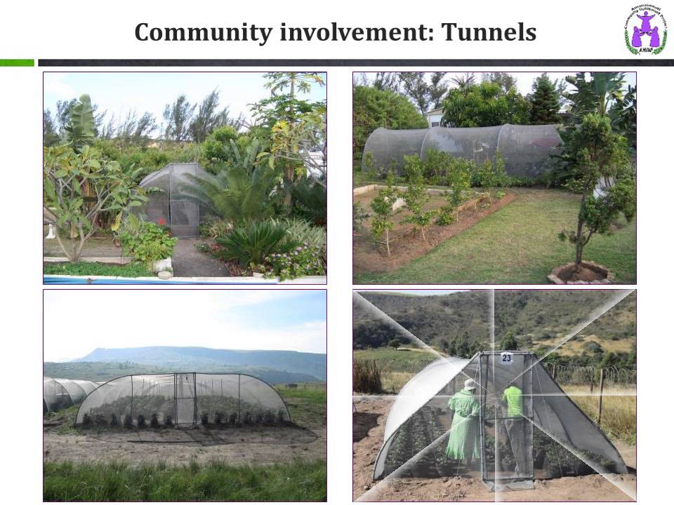 AMCUP (Amanzimtoti Community Upliftment Project) Overview - YouTube