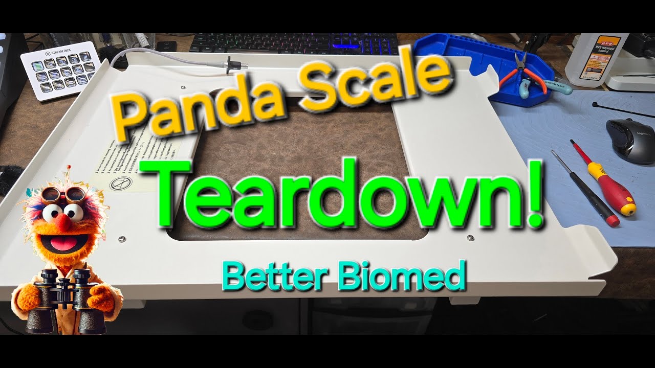 Panda Scale Teardown - YouTube