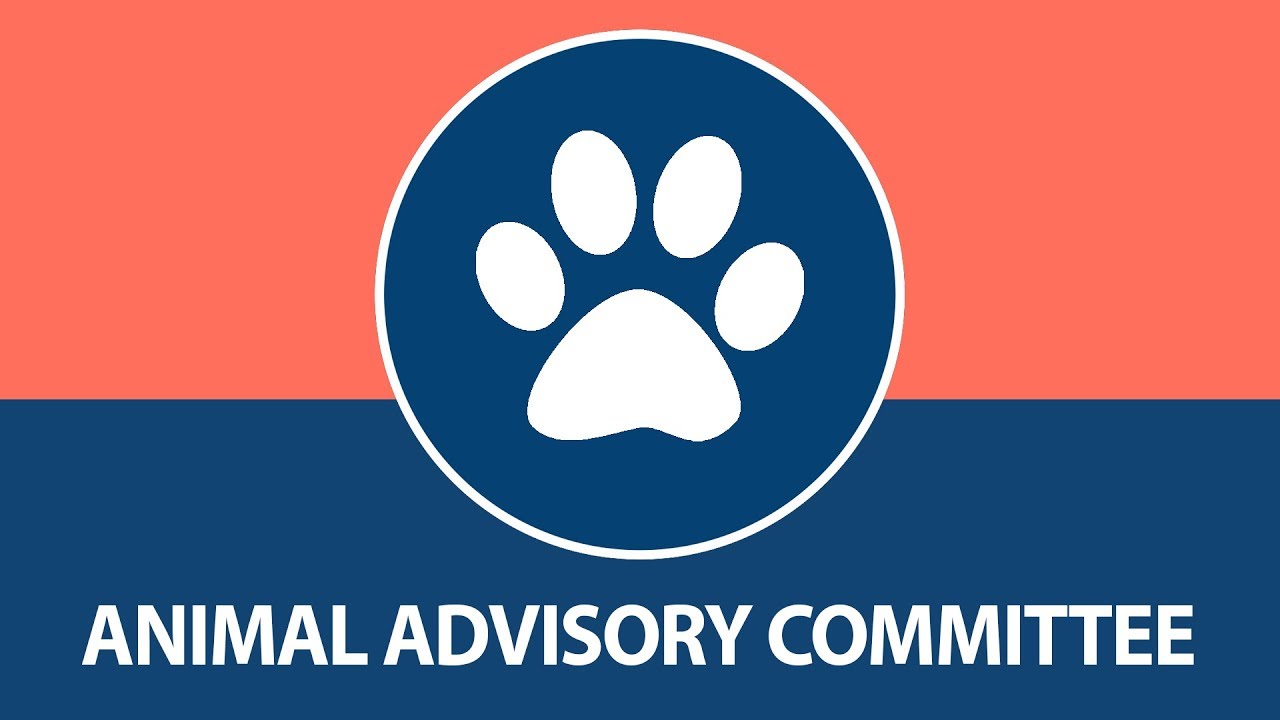 Animal Advisory Committee - 05.22.19 - YouTube
