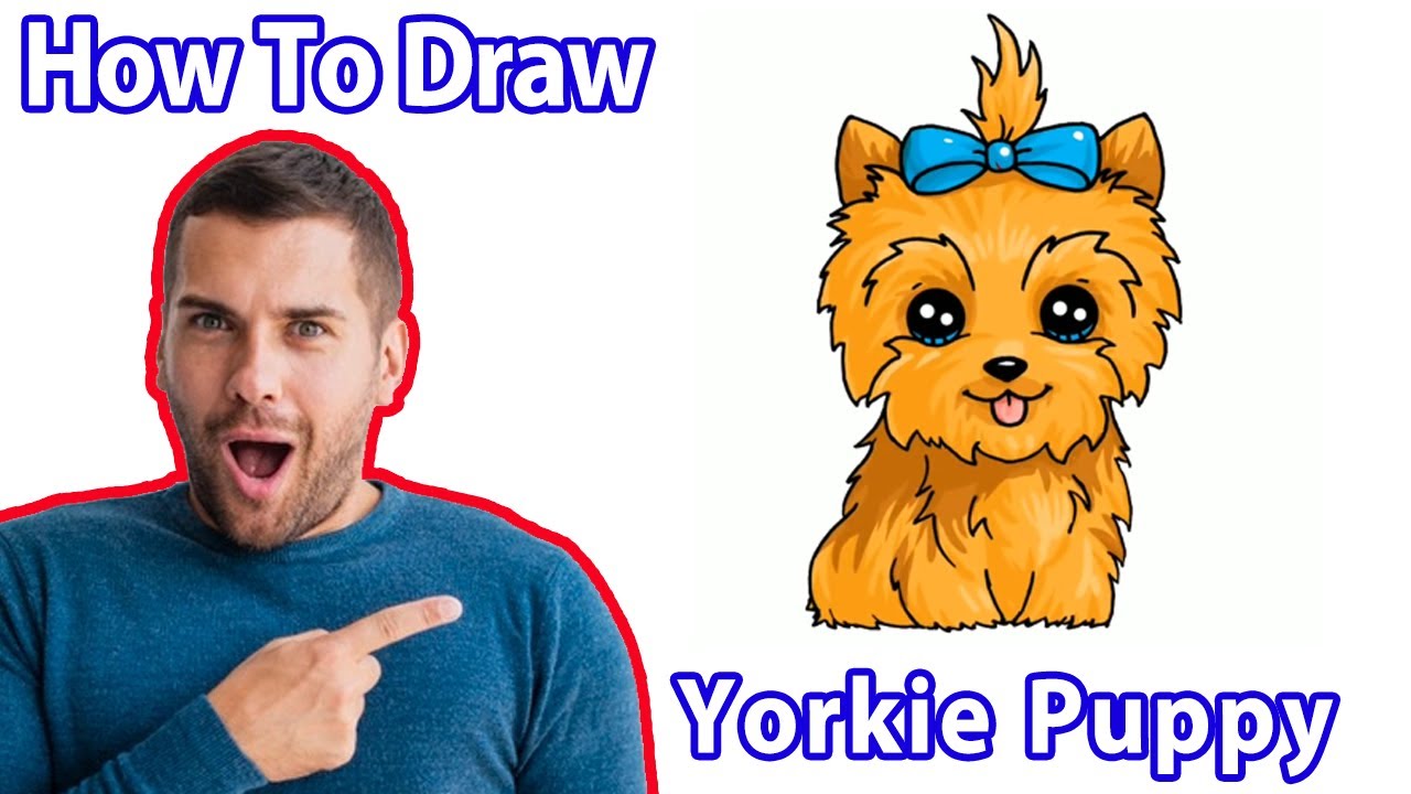 How to Draw Yorkie Puppy - Step by Step Drawing | Mady Arts - YouTube