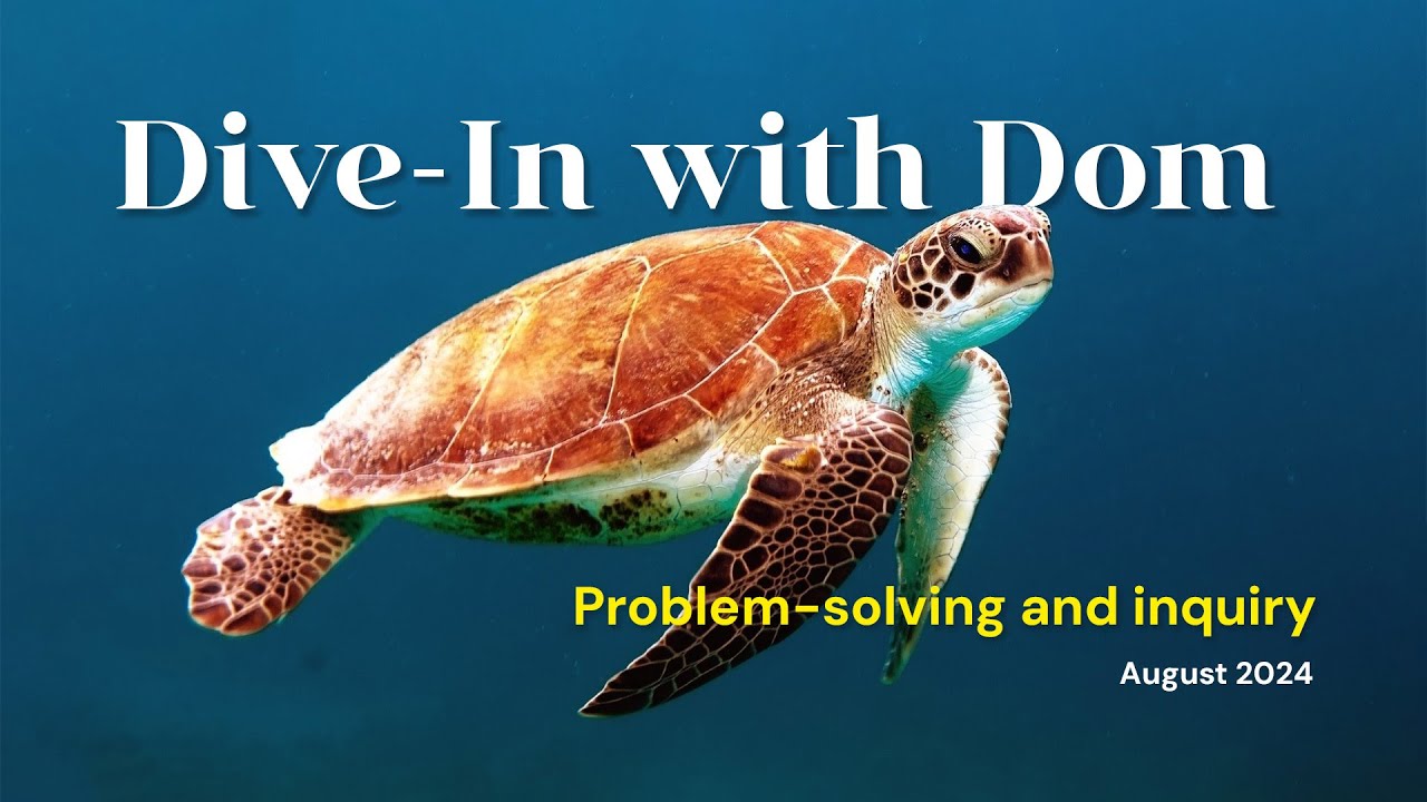 Problem-solving and inquiry (from Dive-In with Dom – August 2024) - YouTube