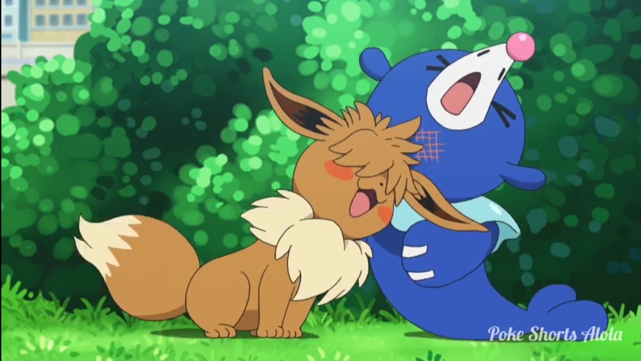 Popplio Tries to Save Eevee But... - YouTube