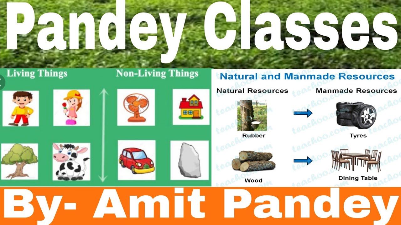 Things Around Us (Part-1). Living Things, Non Living Things, Natural ...
