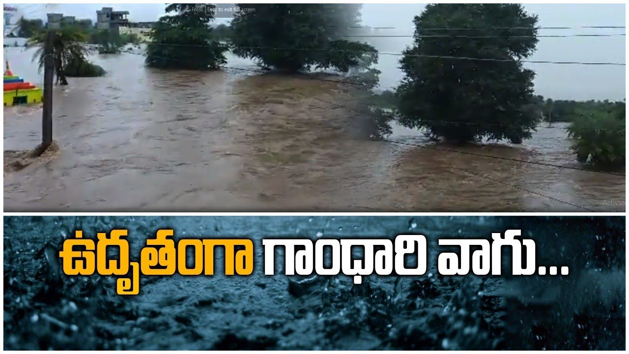 Kamareddy District.. ఉదృతంగా ప్రవహిస్తున్న గాంధారి వాగు.. 40 ఏళ్లలో ...
