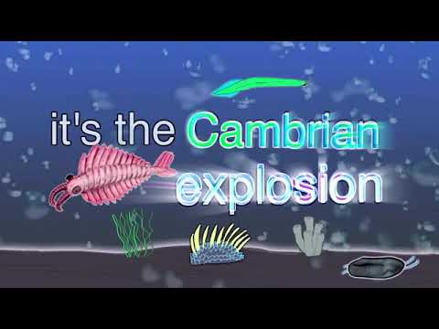 It’s the Cambrian Explosion!