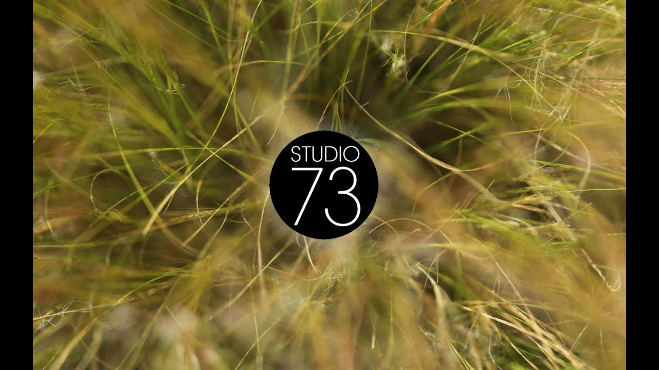 AYOR - Studio 73 Promotional Video _2019 - YouTube