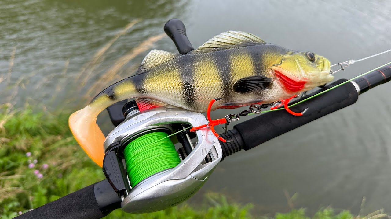 RIVER fishing for PIKE with BIG lures - YouTube