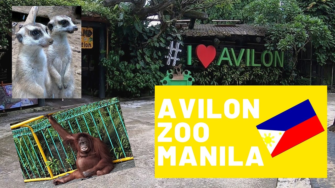 Amazing Avilon Zoo, Philippines - YouTube