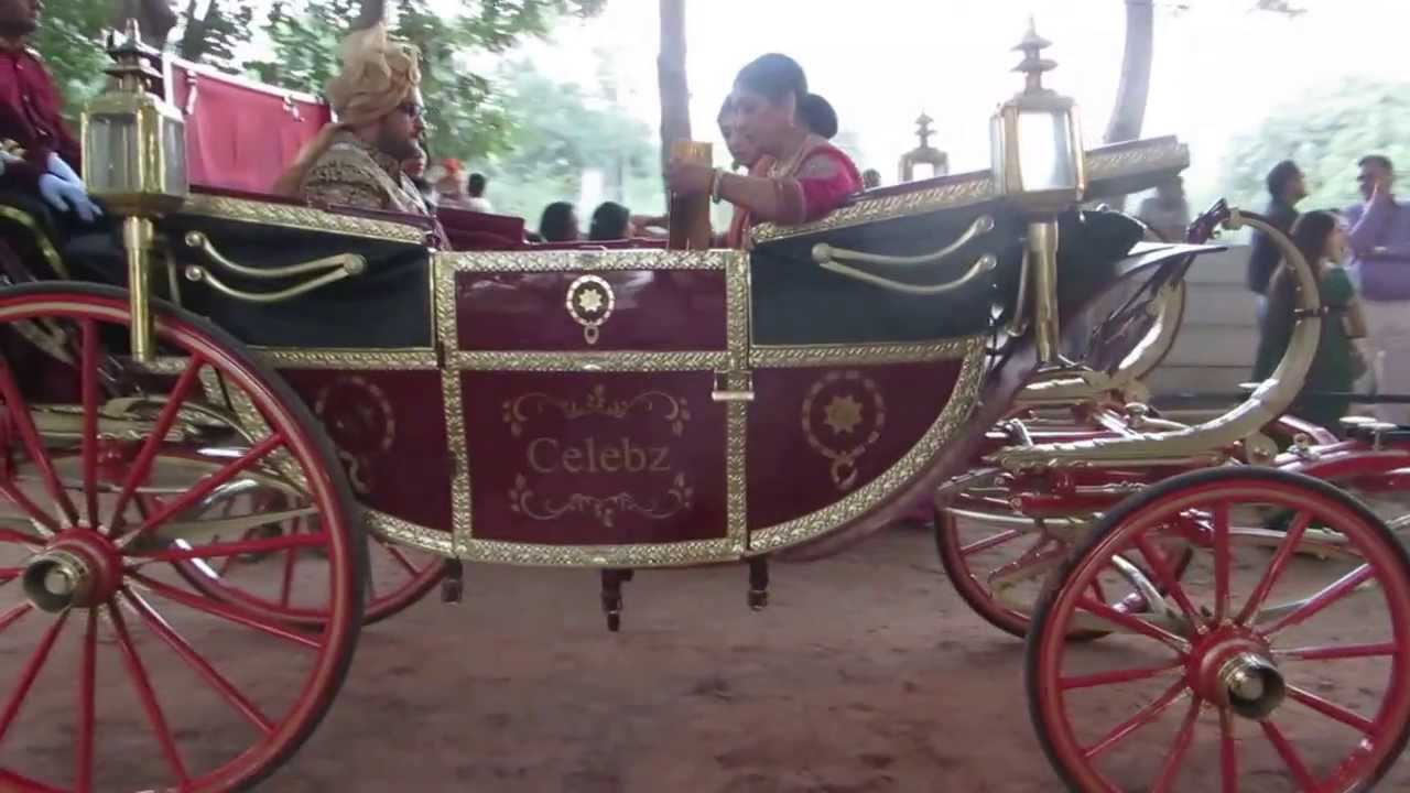 Royal Horse Drawn Carriage Live (Wedding Buggy) - YouTube
