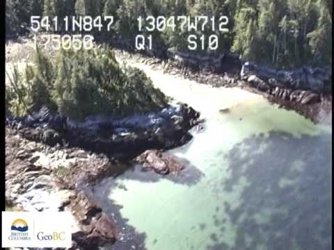 Stephens Island - YouTube