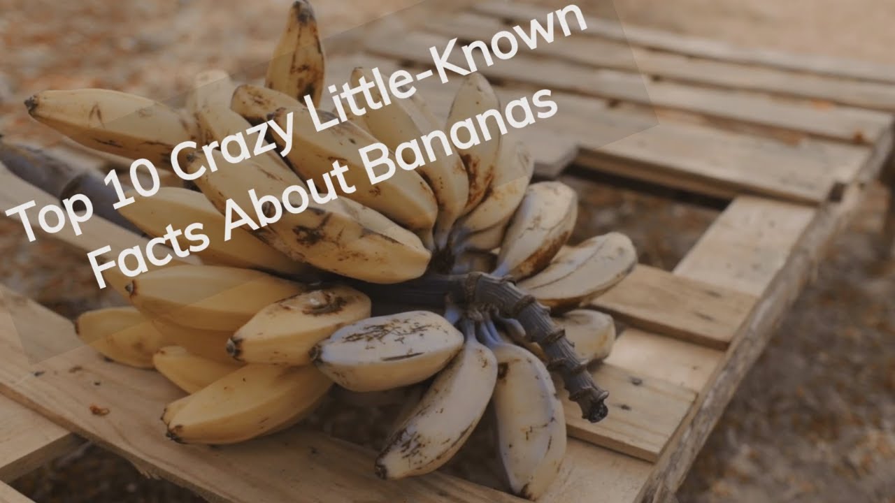 Top 10 Crazy Little-Known Facts About Bananas||interesting facts about ...