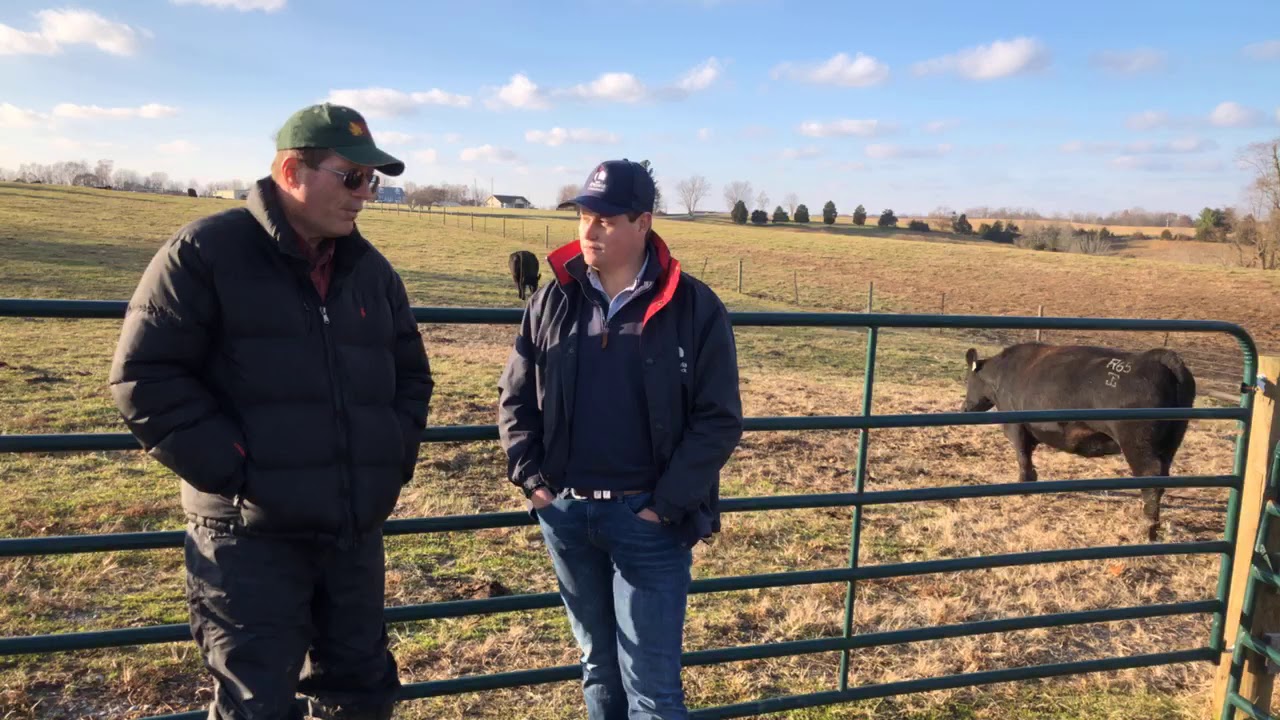 John Grimes from Maplecrest Farms - YouTube