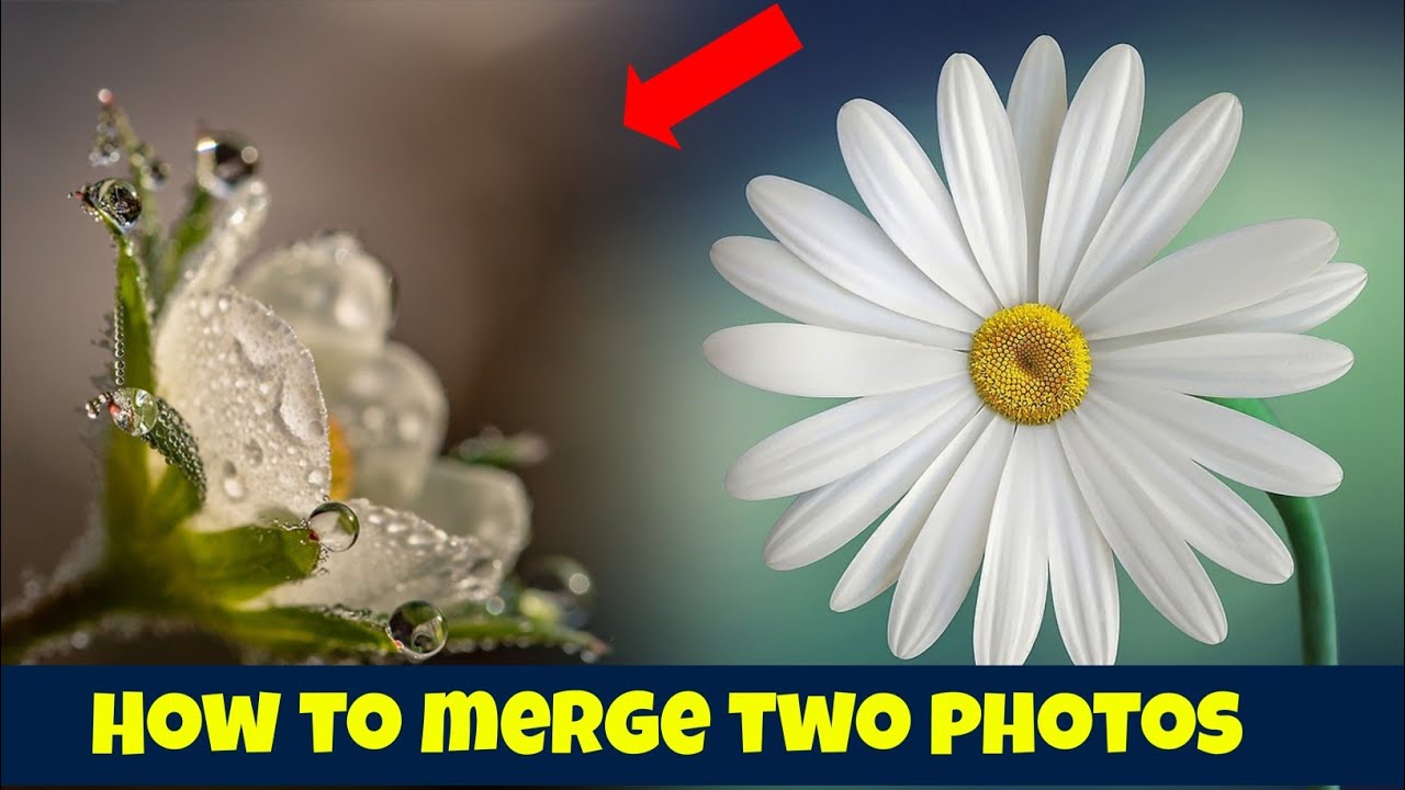 How to merge two photo in photoshop. ফটোশপ টিউটোরিয়াল বাংলা। দুটি ফোটো ...