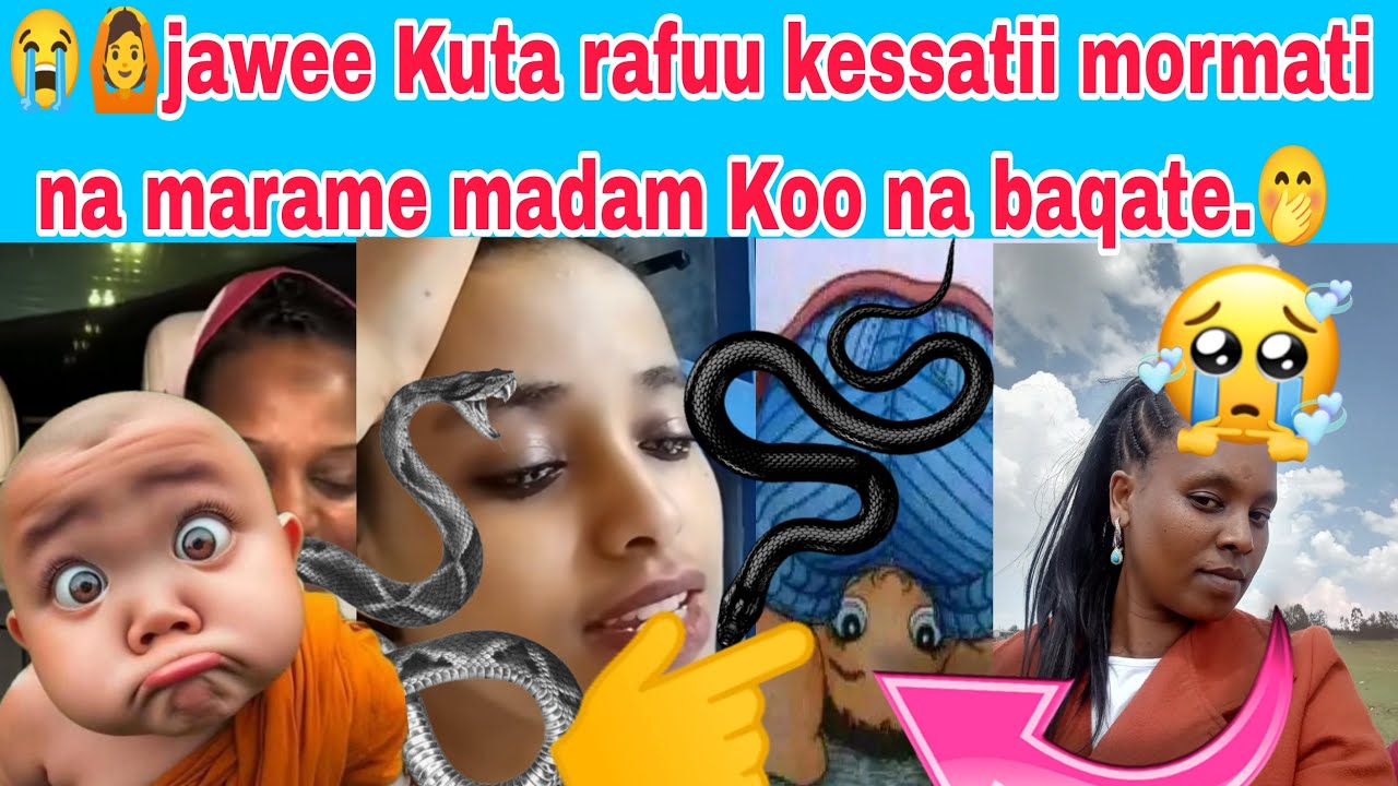 😭💔 Jawee bakka rafuti na cininee madam Koo na baqate 🙆🤭 - YouTube