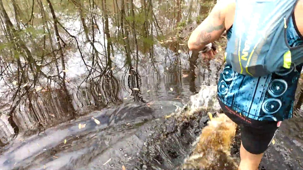 2020 Palmetto Swamp Fox Adventure Race - YouTube
