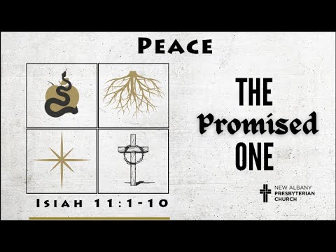 The Promised One: Peace Isiah 11:1-10 December 3 2023 - YouTube