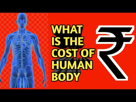 What is the cost of our body?|| Interesting fact || The first video in ...