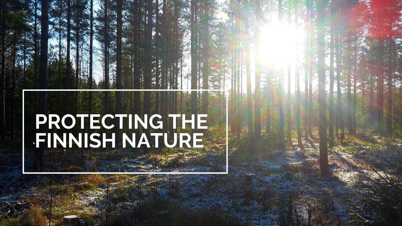 Learn Finnish by listening! Environmental action in Finland - YouTube