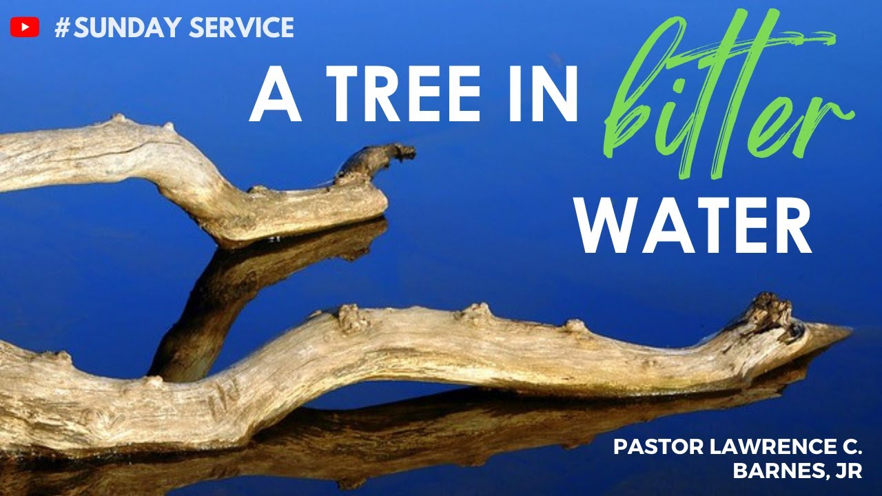 A Tree in Bitter Waters | Pastor Lawrence C. Barnes, Jr. - YouTube