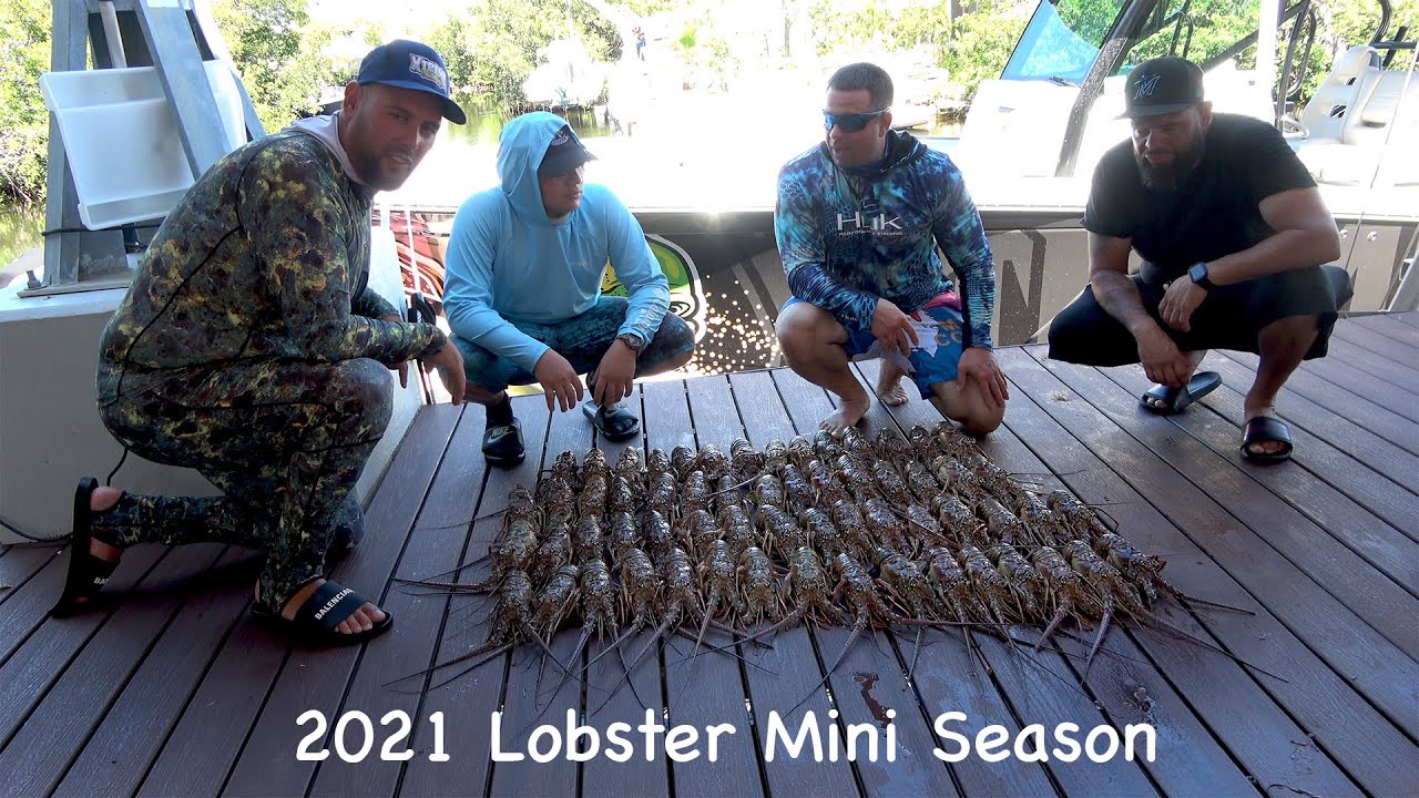 2021 Lobster Mini Season (Miami Edition) - YouTube