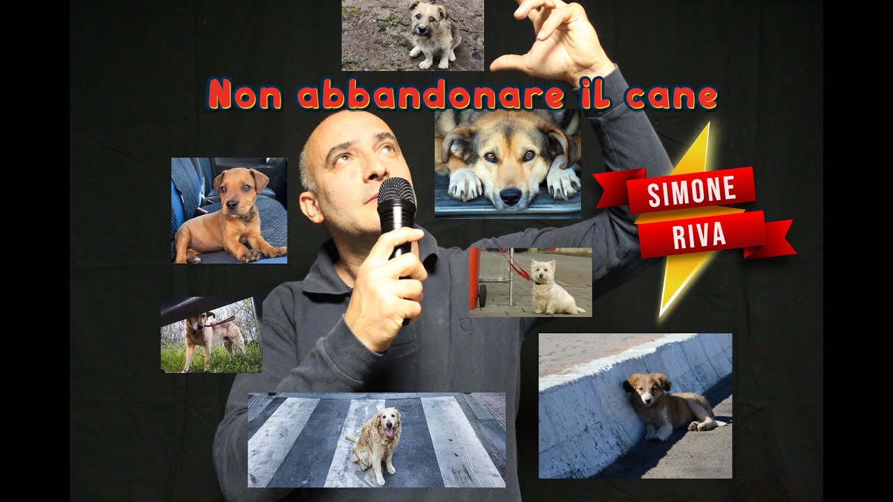 Non abbandonare il cane Simone Riva Videoclip - YouTube