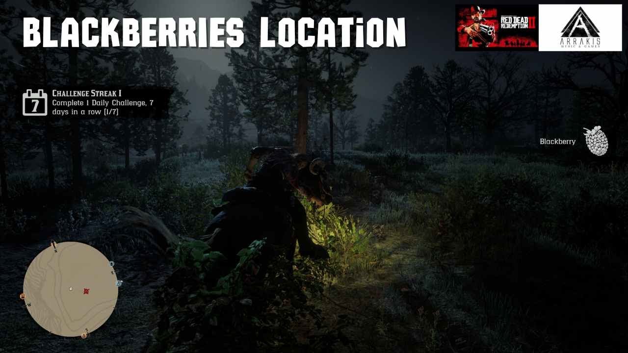 Red Dead Redemption 2: Blackberries Location - YouTube