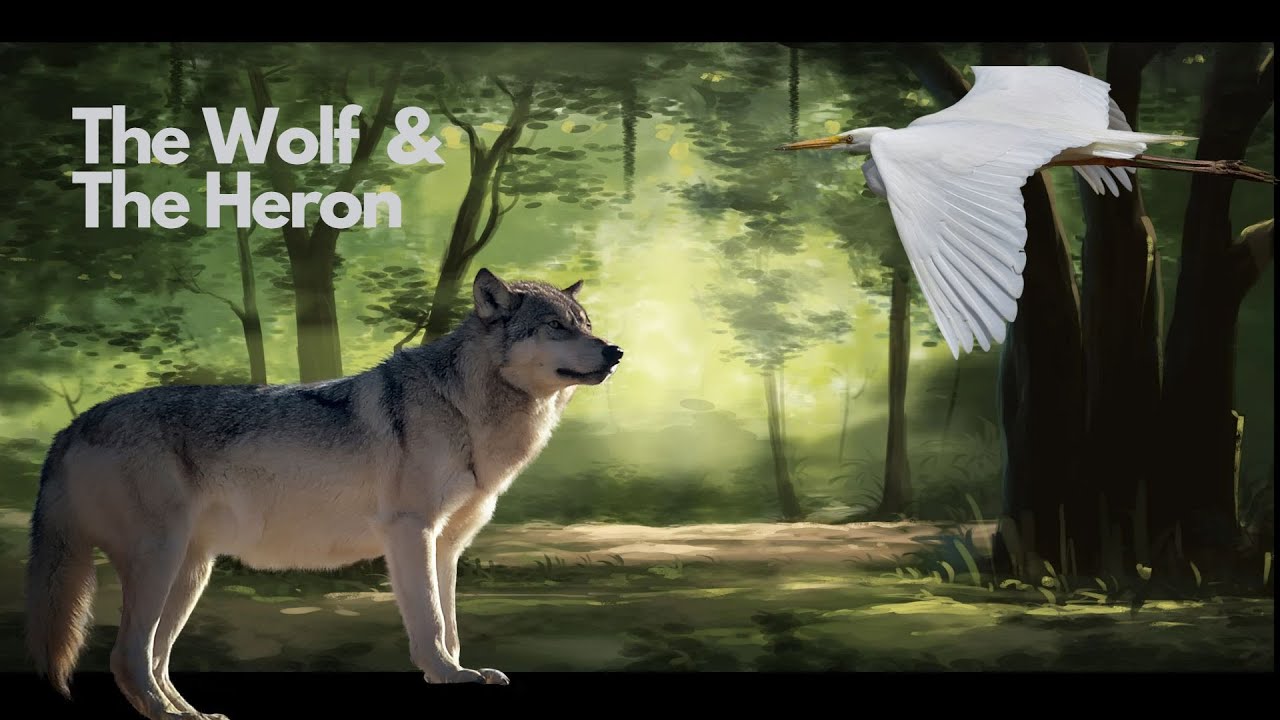 The Wolf and The Heron || Aesop's Fables ||Moral Stories||Short Stories ...