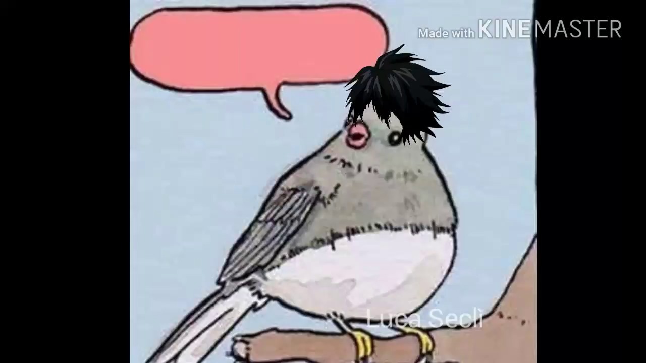 Death note bird meme - YouTube
