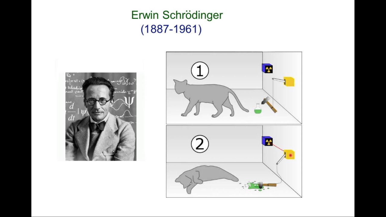 Erwin Schrodinger (1887-1961) - YouTube
