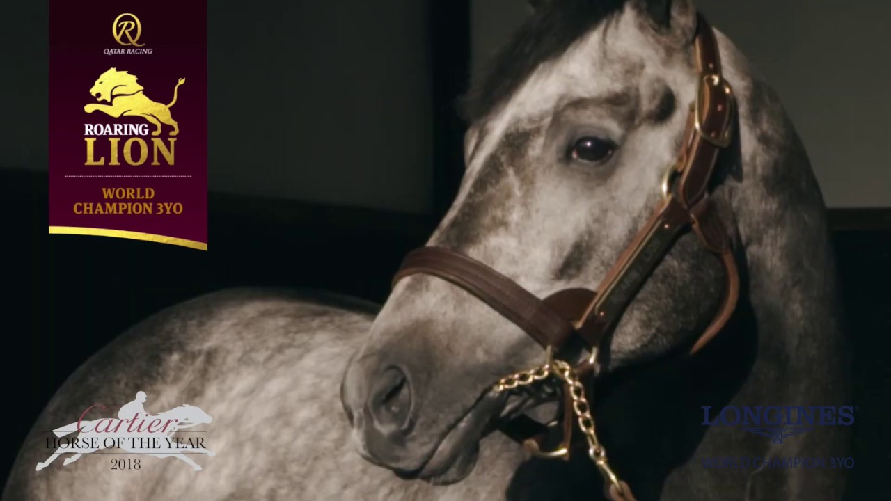 Roaring Lion at Cambridge Stud - YouTube