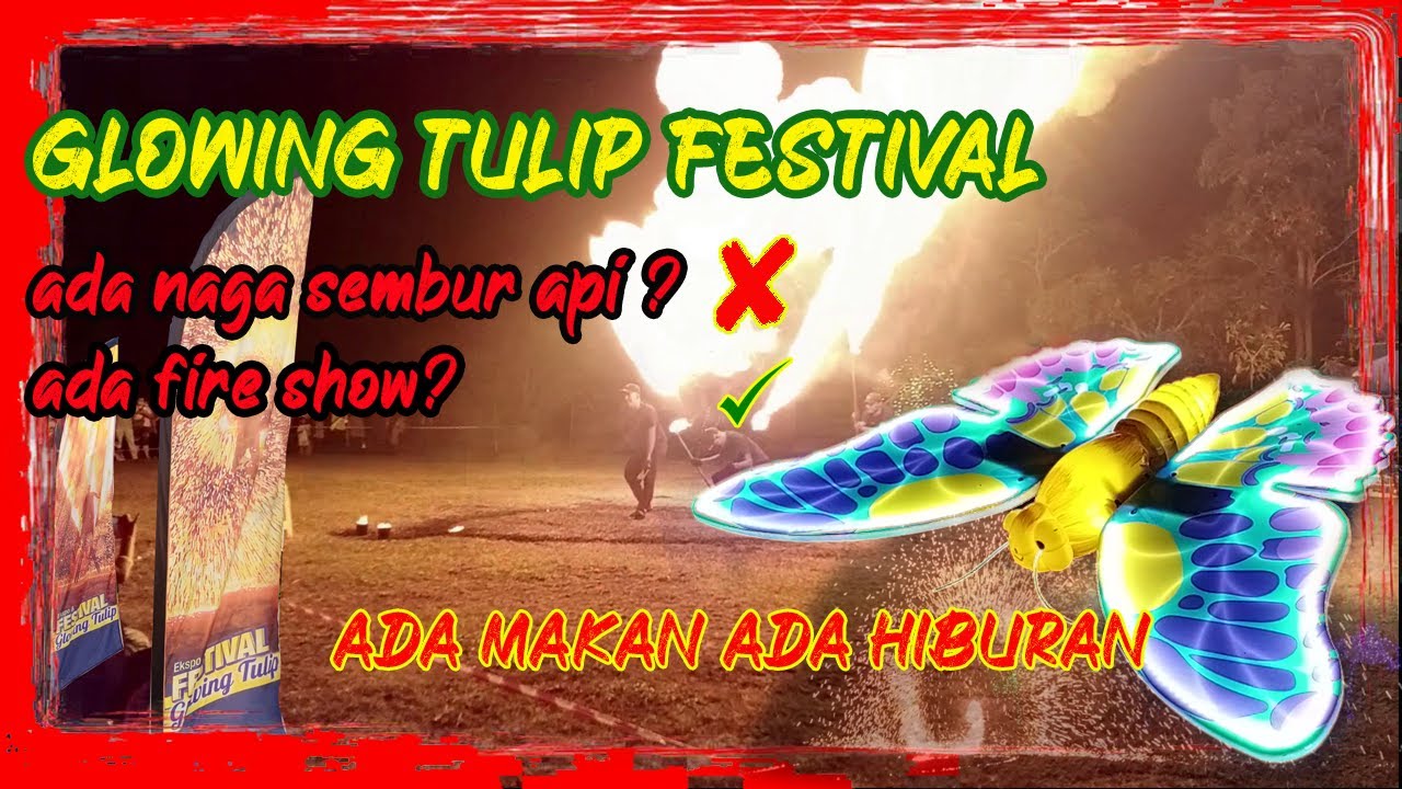 Yang Sembur Api Bukan Naga di Glowing Tulip Festival 2023 Alor Setar ...