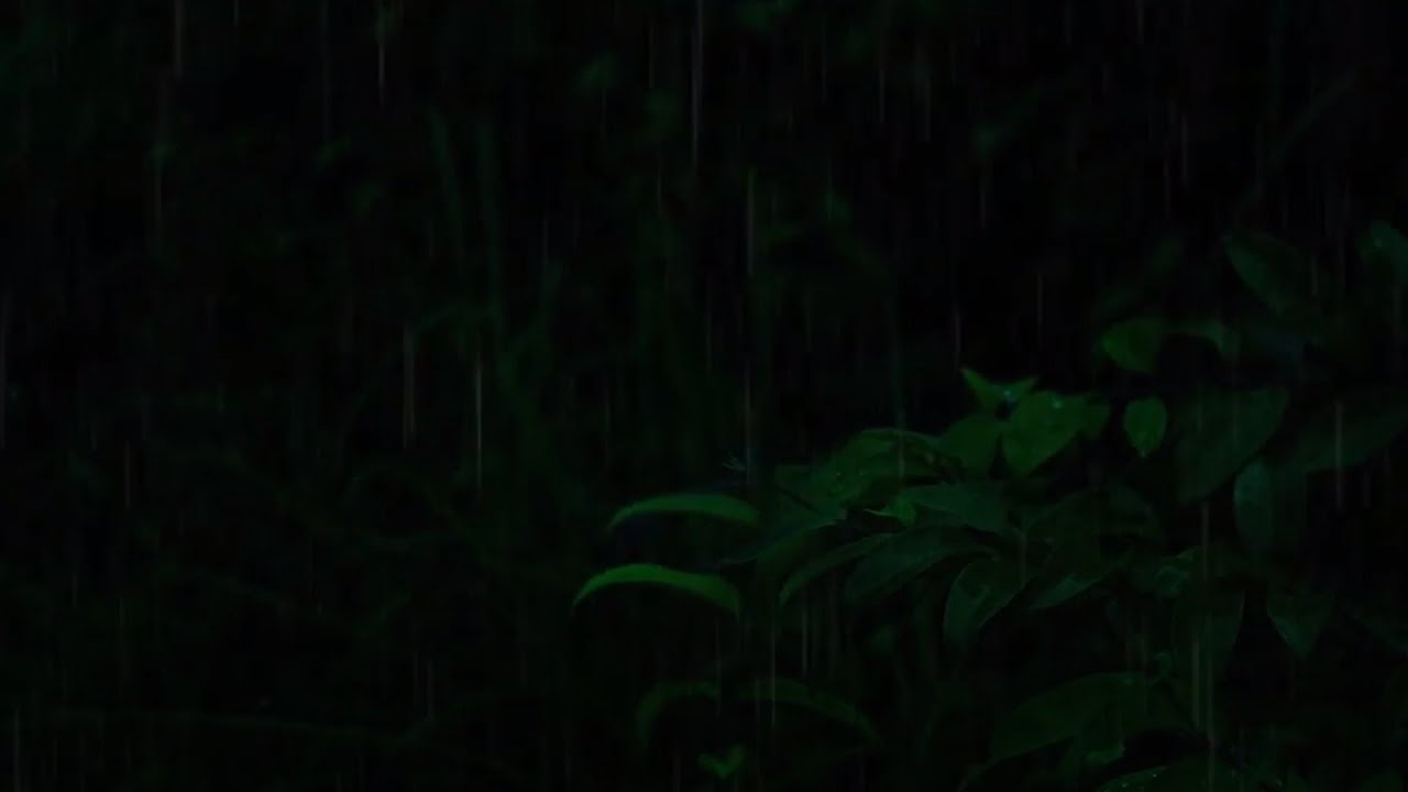 Gentle NIGHT RAIN to Sleep FAST, Beat Insomnia. Relax, Study to Rain ...
