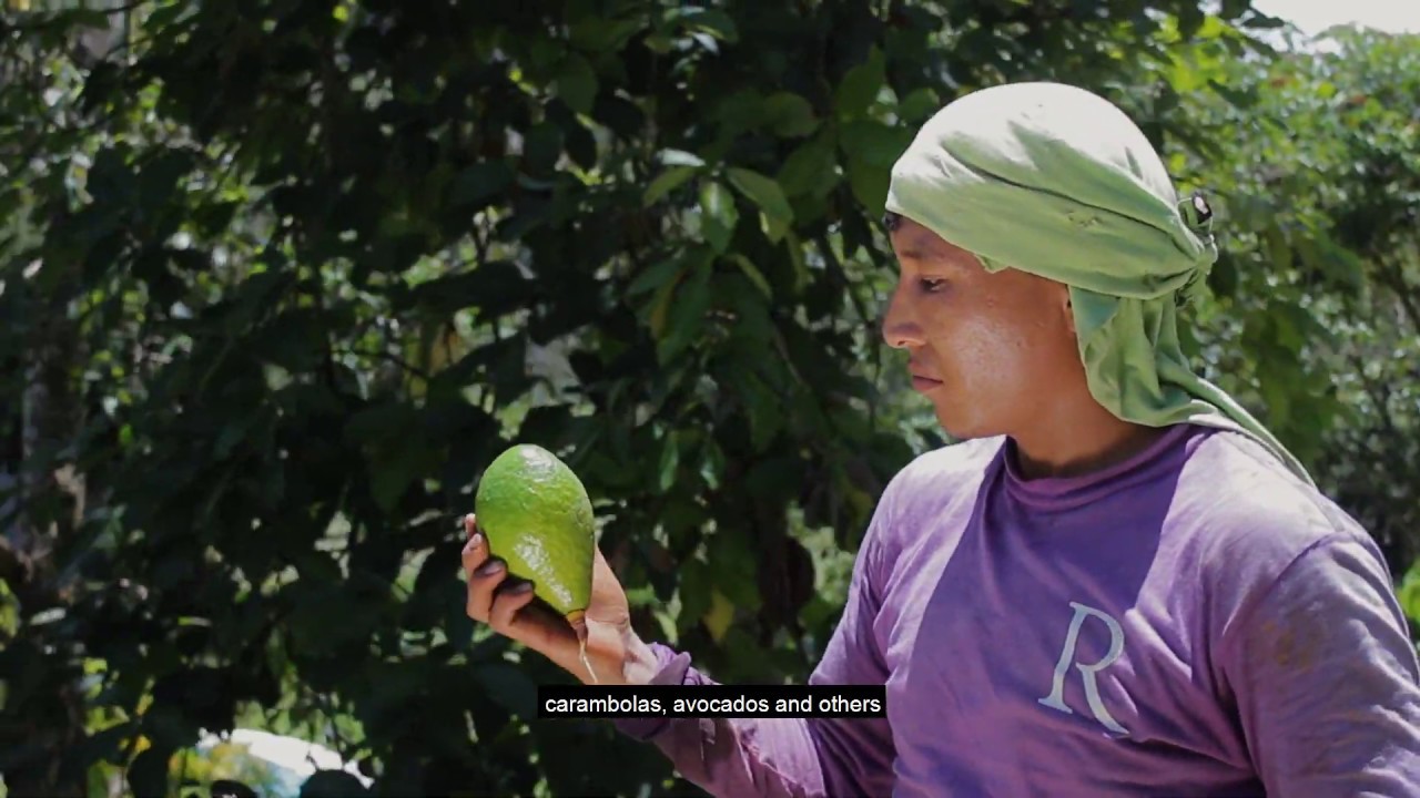 Fundo San Rocco - San Ramon 60 ha - YouTube