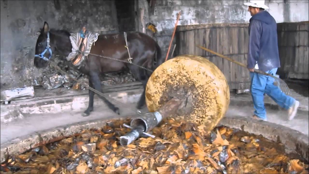 very low teach mezcal making in Oaxaca Mexico - YouTube