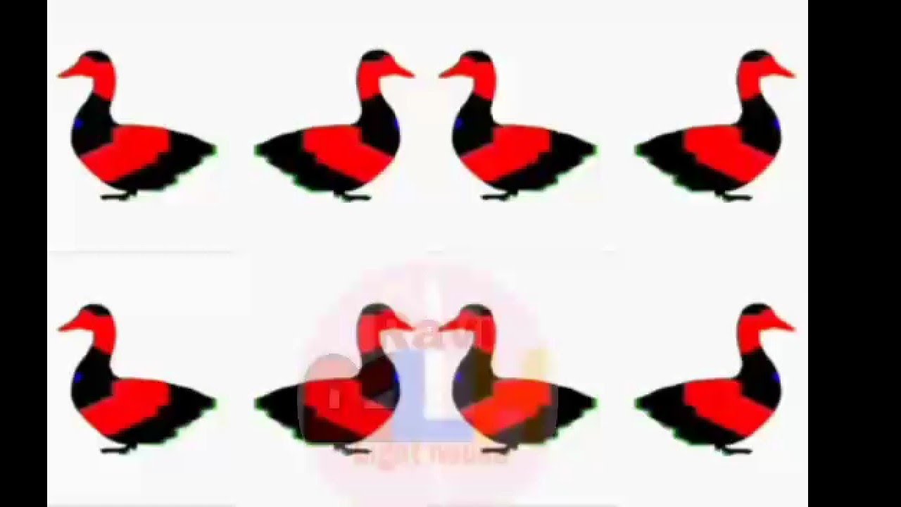 14.#Free pixel led duck effect, lededitswfeffects, free pixel effects ...