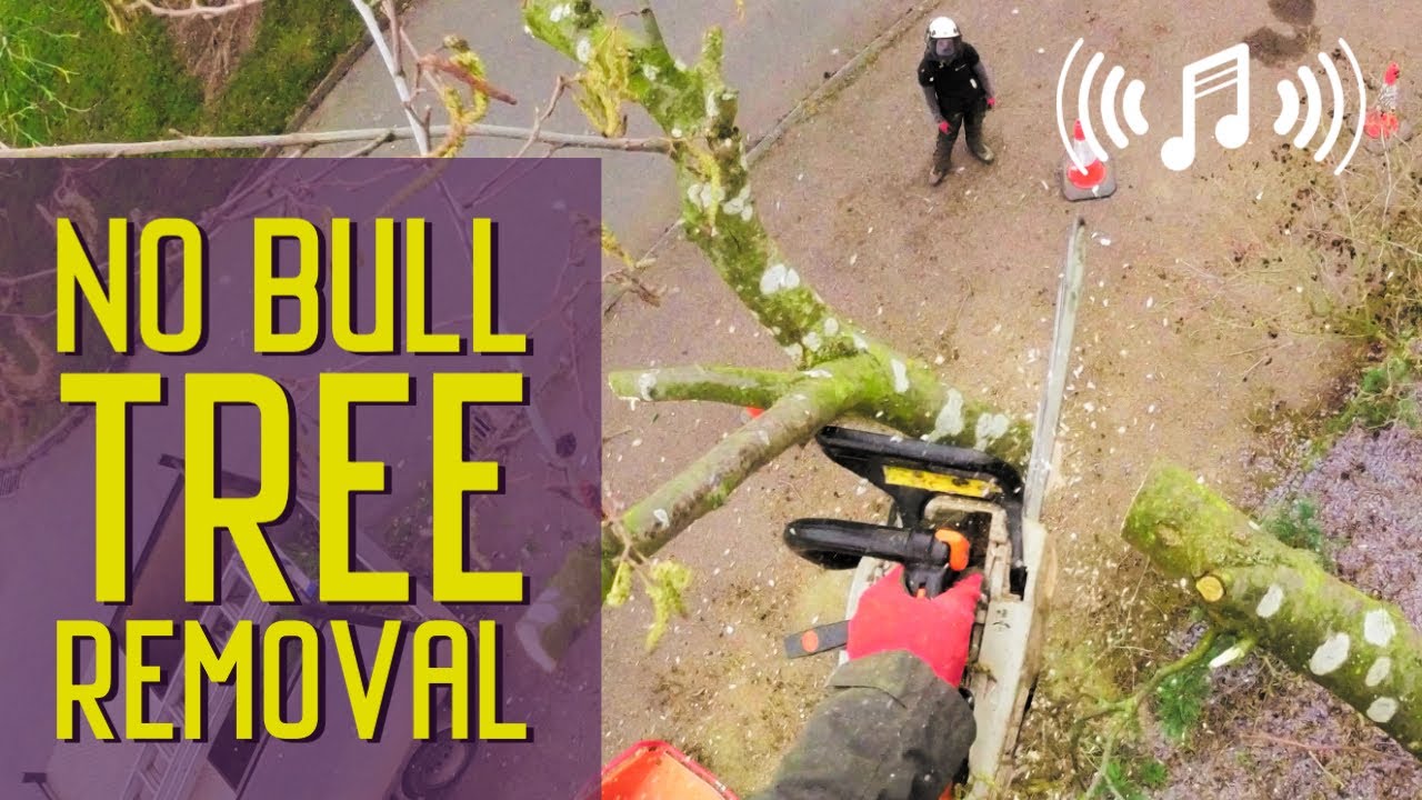 Arborist Tree Removal | No Bull, just tree removal video set to music ...