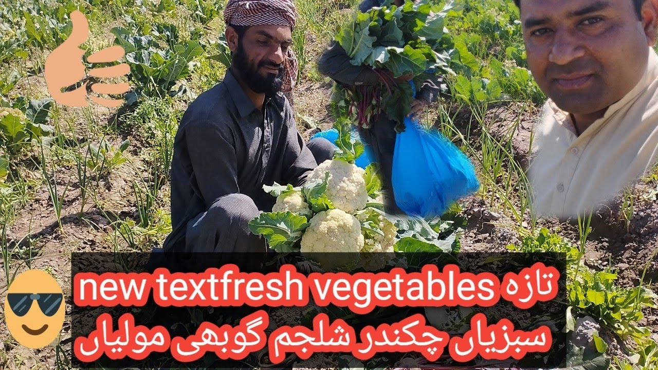 village beautiful velog fresh vegetables تازہ سبزیاں چکندر شلجم گوبھی ...