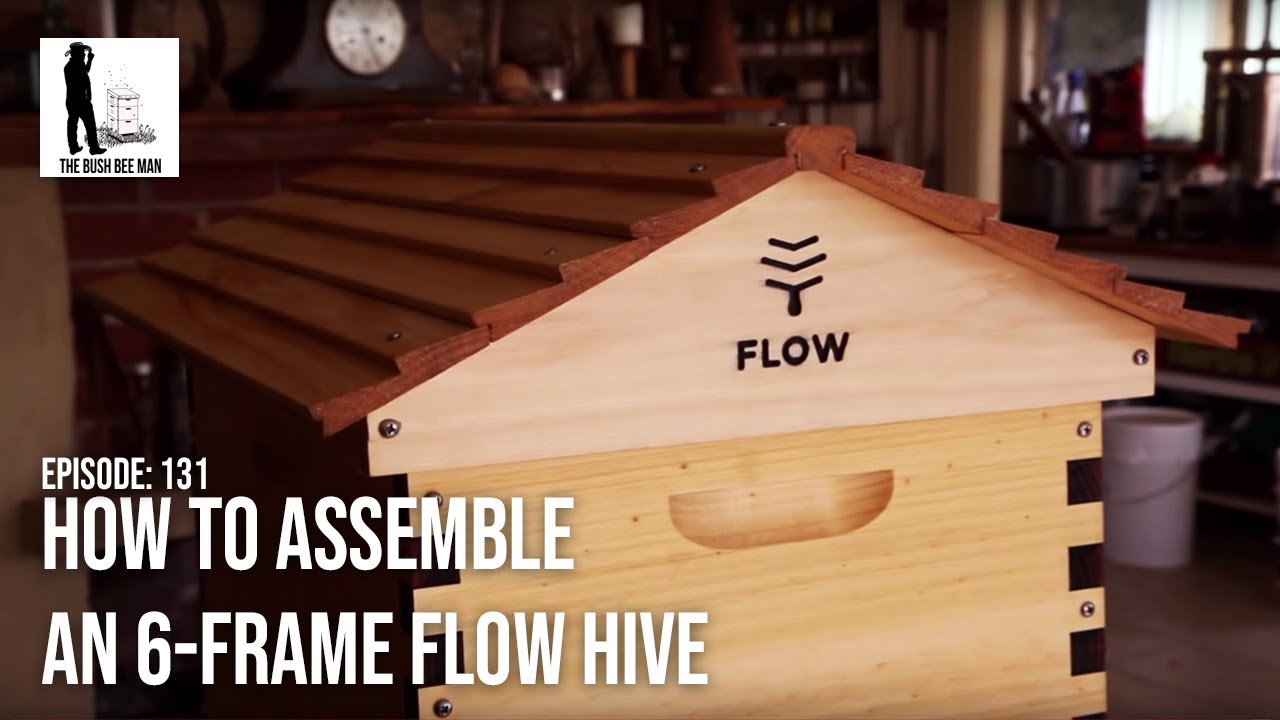 How to assemble an 6-frame Flow Hive - The Bush Bee Man - YouTube